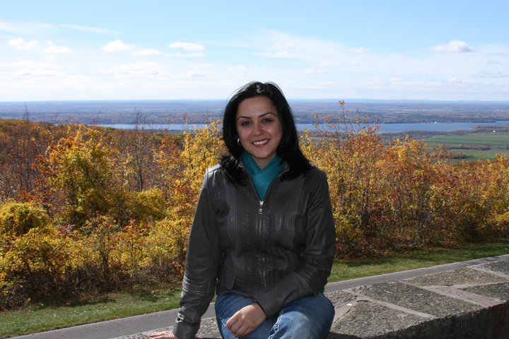 Why call this type of functional analysis an IISCA? | Practical ...