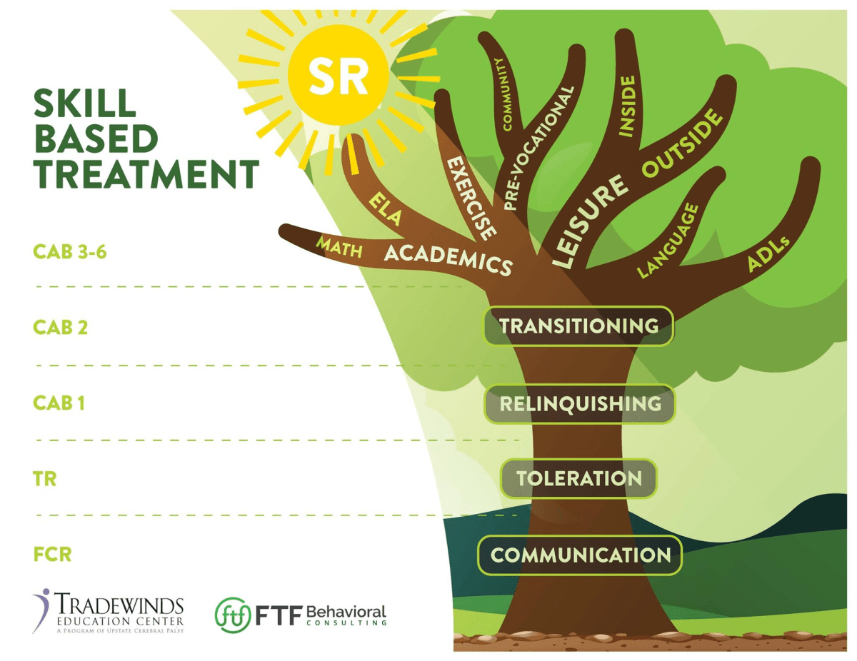 Skill-based Treatment: A Visual | Practical Functional Assessment